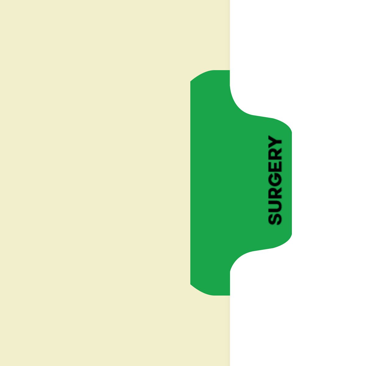 Individual Stock Fileback Divider Tabs, Side Flap, Side Tabs, Surgery ...