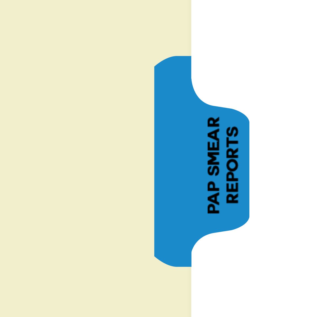 Individual Stock Fileback Divider Tabs, Side Flap, Side Tabs, Pap Smear ...