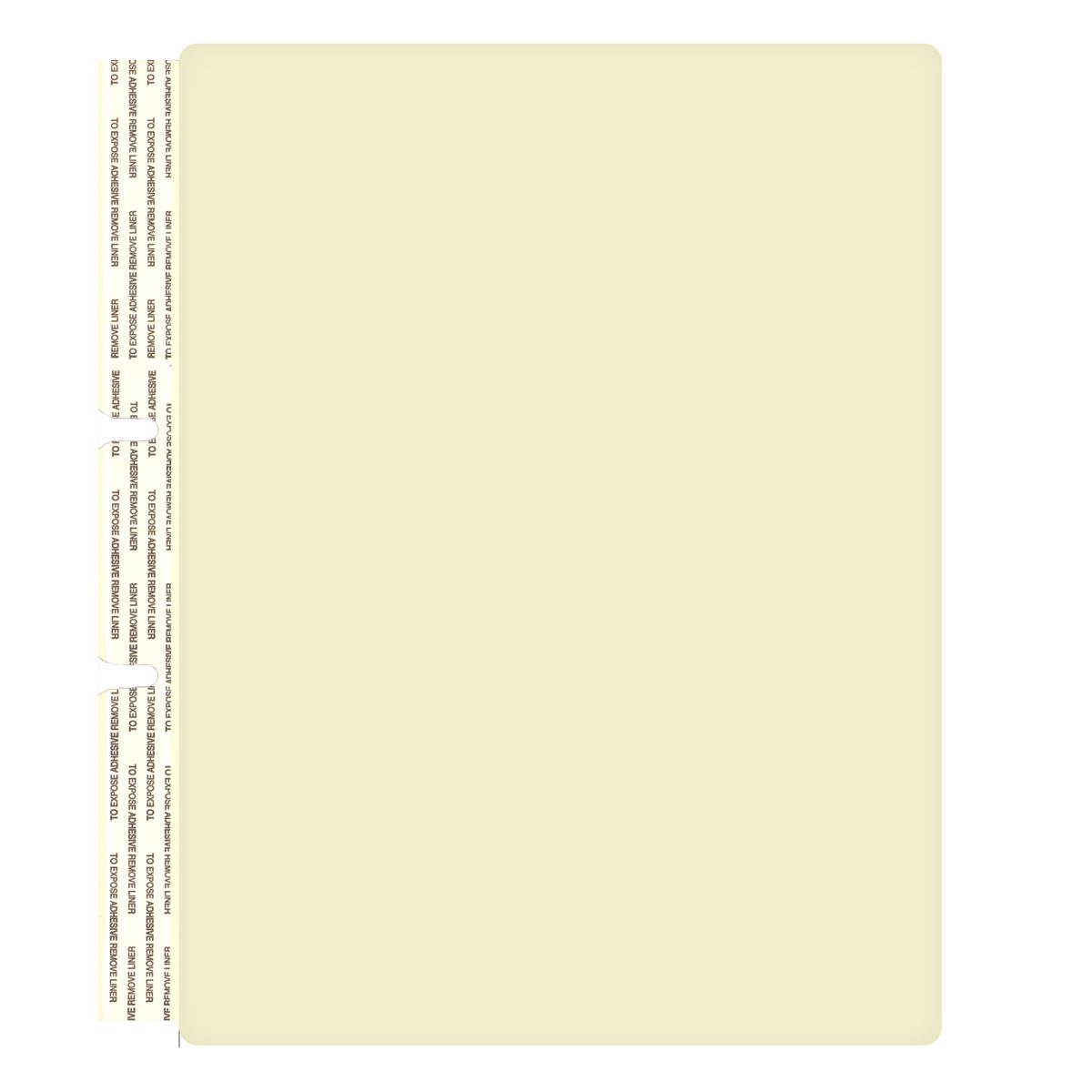 Self Adhesive Divider, Standard Side Flap (Box of 100) – Ecom Folders ...