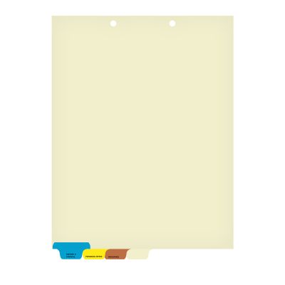 Stock Medical Chart Divider Sets, Bottom Tabs, 1/6th Cut (100 Sets of 4 ...