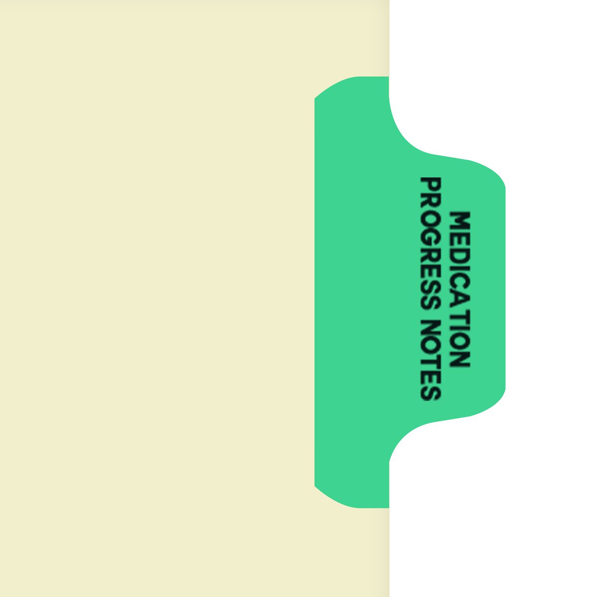 Individual Stock Chart Divider Tabs, Medication Progress Notes, Light ...