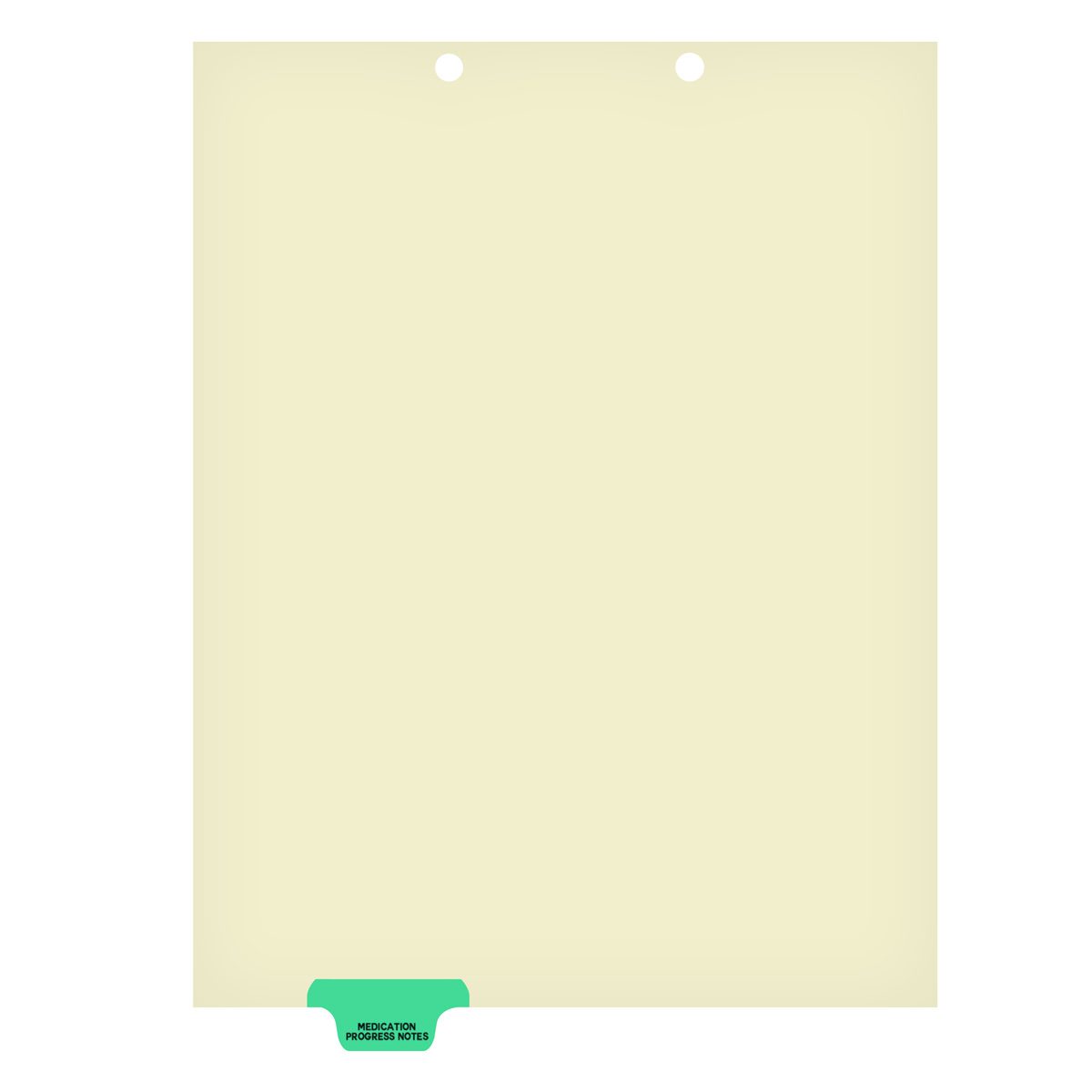 Individual Stock Chart Divider Tabs, Medication Process Notes, Light ...