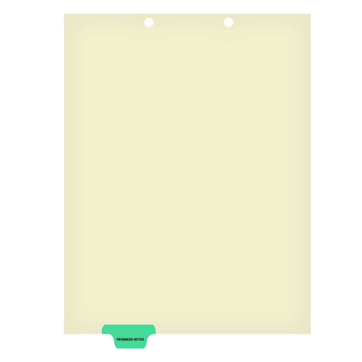 Individual Stock Chart Divider Tabs, Progress Notes, Light Green ...