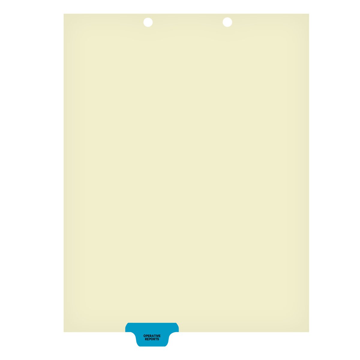 Individual Stock Chart Divider Tabs, Operative Reports, Medium Blue ...