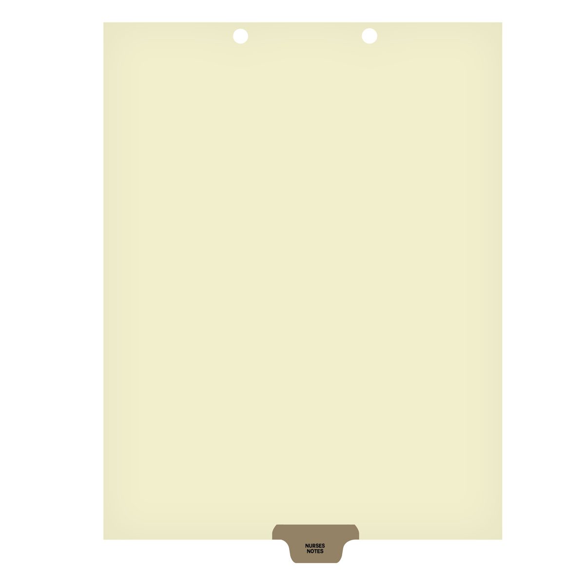 Individual Stock Chart Divider Tabs, Nurses Notes, Gray, Bottom Tab, 1 ...