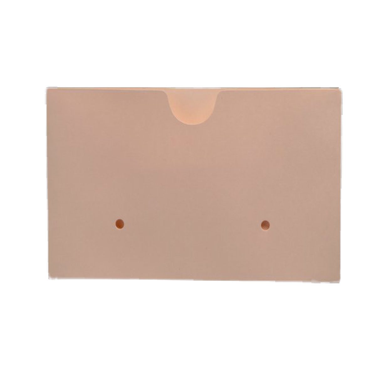 Self Adhesive Manila Pockets, 8-1/2″ x 5″ (Box of 50) – Ecom Folders ...