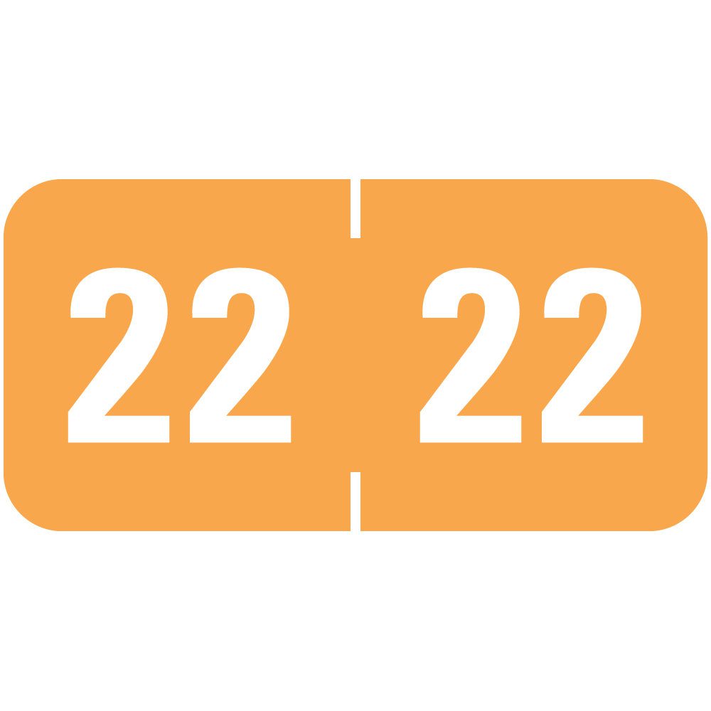2022 Year Labels, Orange, Tab Products Compatible, 3/4″ X 1-1/2″ – Bulk ...