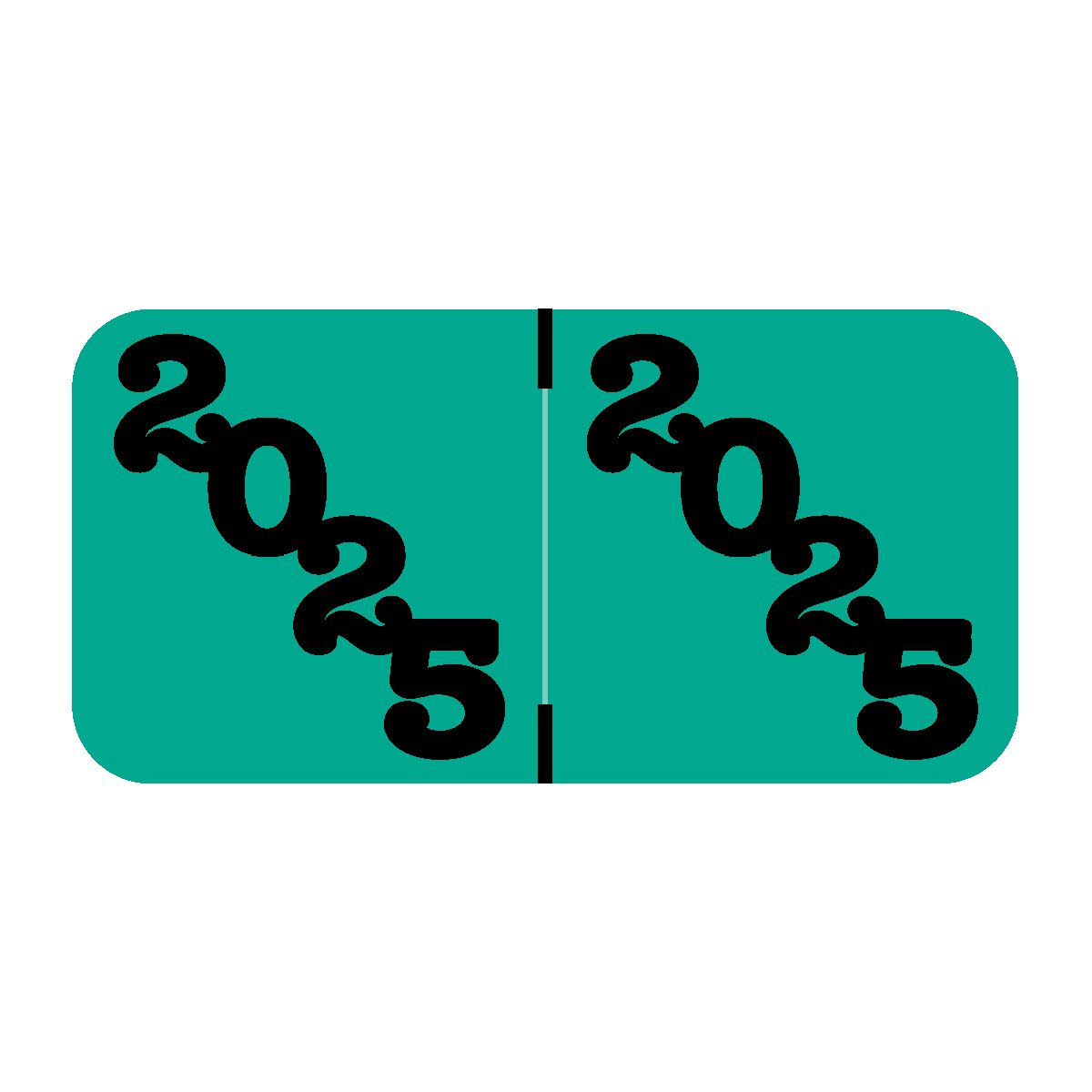 2025 Year Labels, Green, Jeter Compatible, 3/4″ X 1-1/2″ – Bulk (5 ...