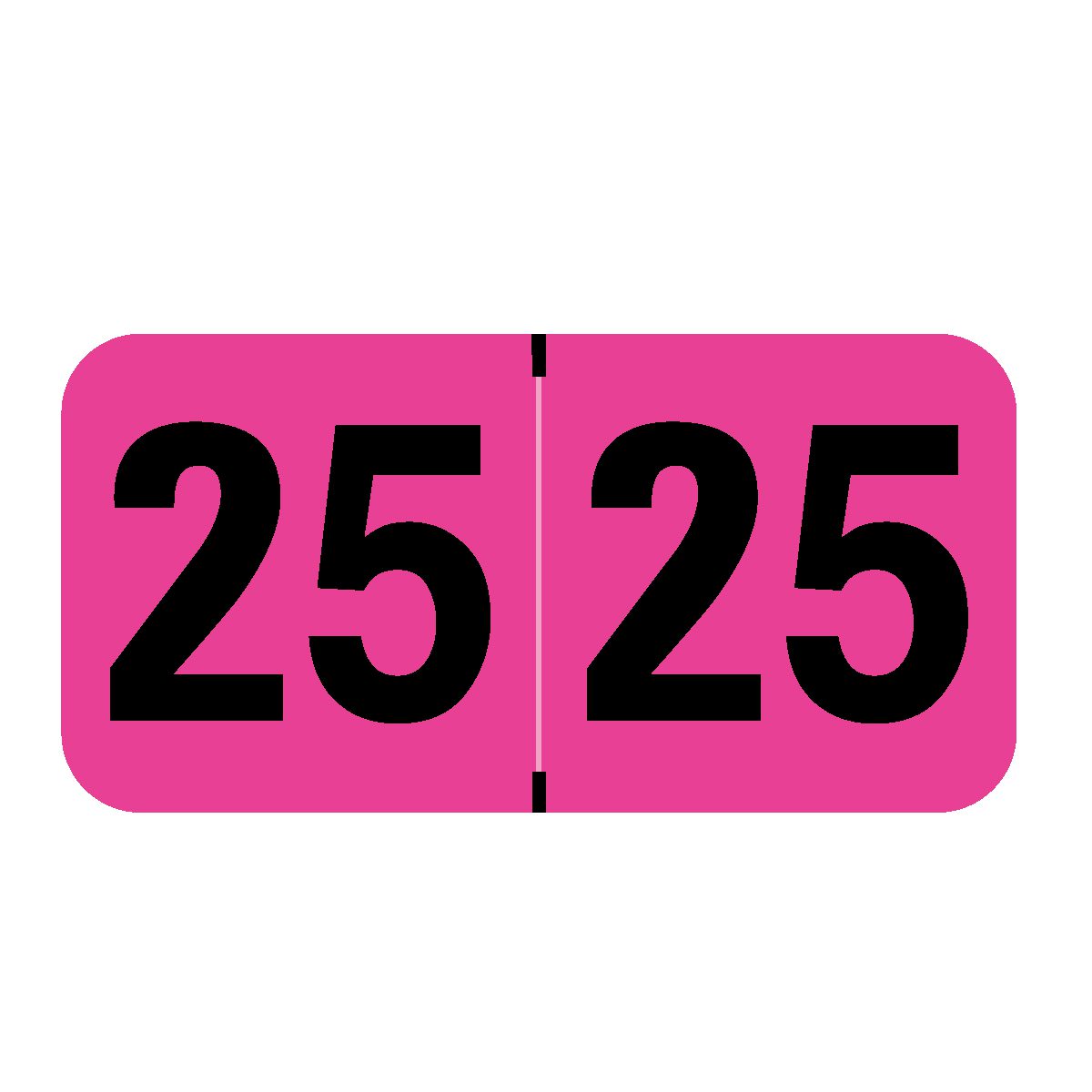 2025 Year Labels, Fluorescent Pink, MAP Compatible, 3/4″ X 1-1/2 ...