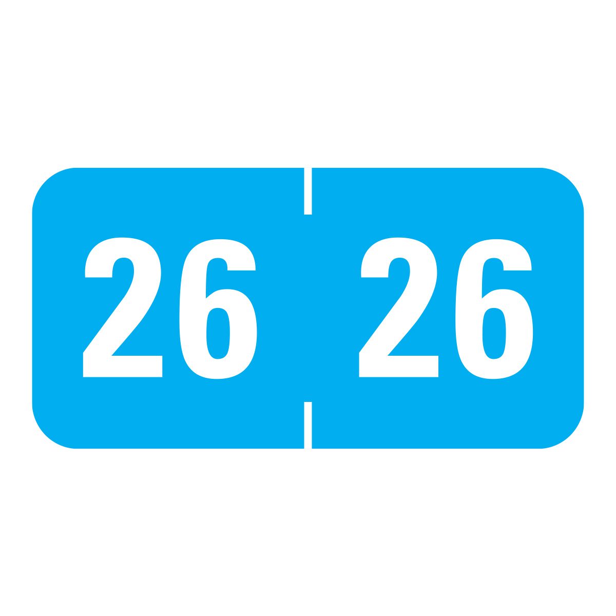 2026 Year Labels, light Blue, Tab Products Compatible, 3/4″ X 1-1/2 ...